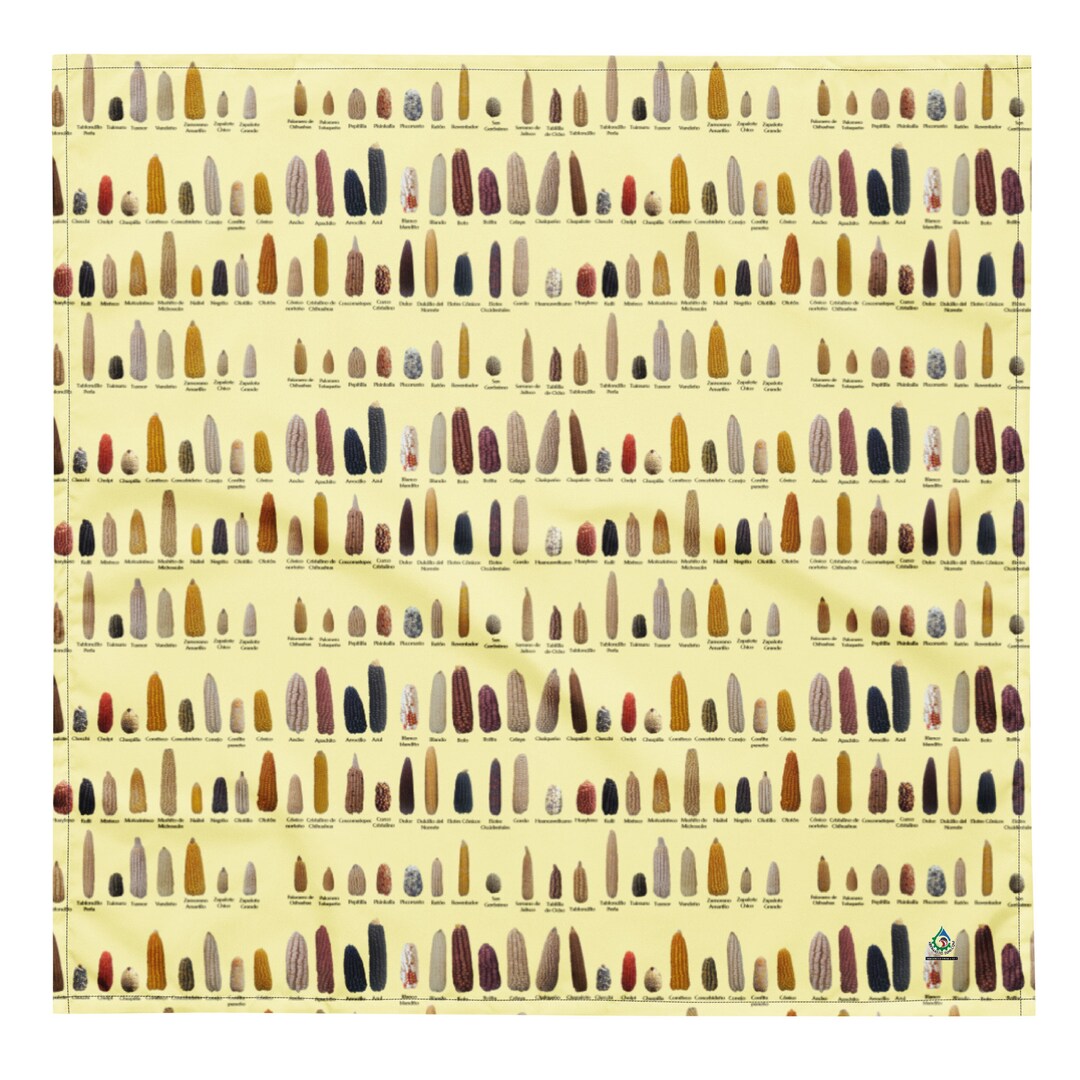 Traditional Corn Varieties Heirloom Indigenous Seeds Print - Etsy