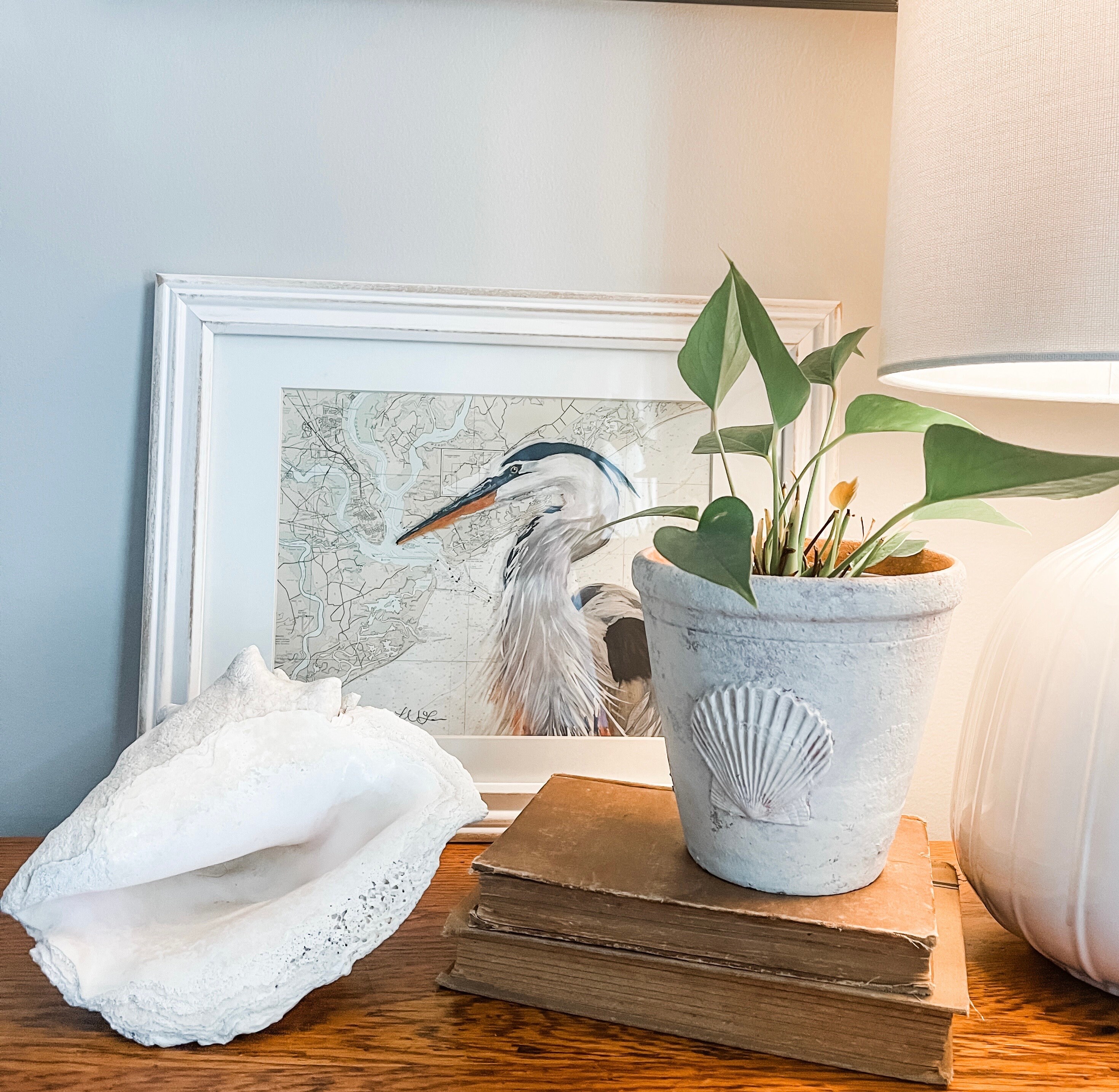 VINTAGE SEED POT Scallop Shell - Etsy