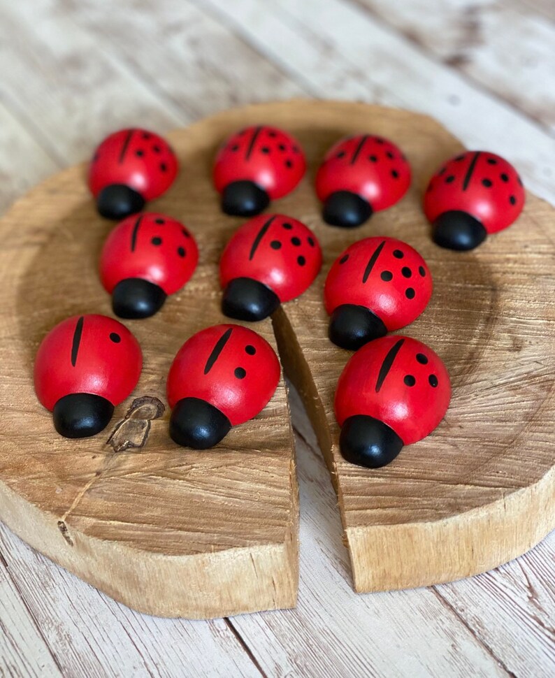 Counting Numbers Lady Bugs Wooden Educational Toy Set of 10 / - Etsy