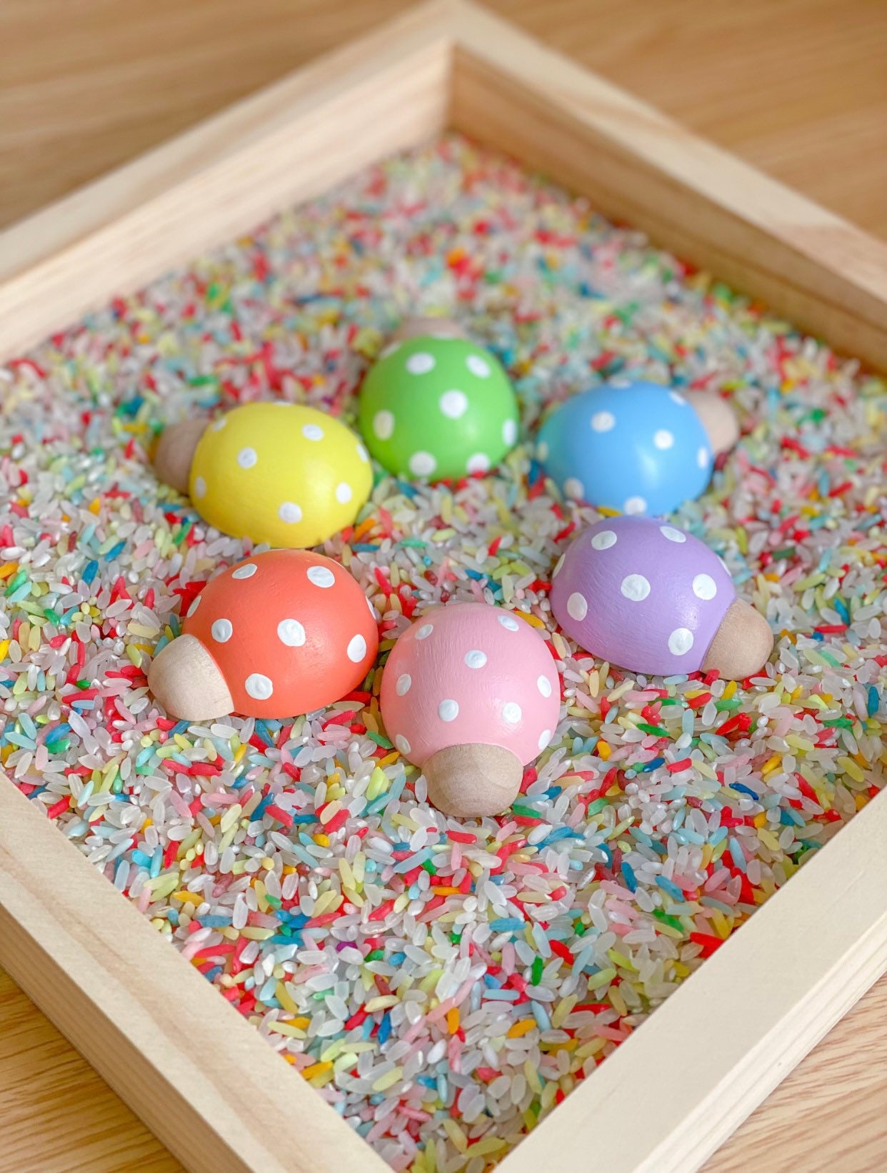Wooden Pastel Rainbow Lady Bugs for Counting / Sorting / - Etsy