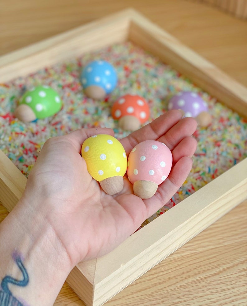 Wooden Pastel Rainbow Lady Bugs for Counting / Sorting / | Etsy