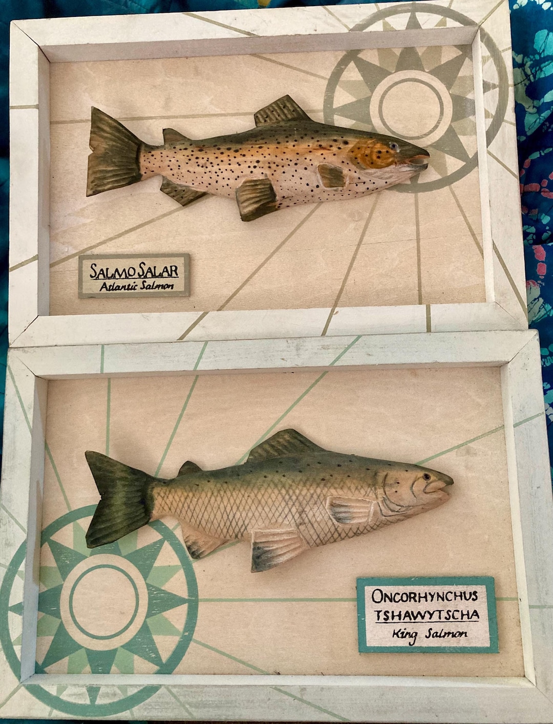 Vtg Wooden Fish Signs, 3 D Realistic Fish Signs, Atlantic Salmon Wooden ...