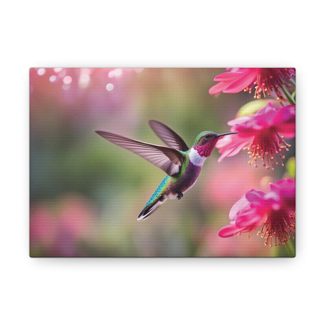 Hummingbird Art, Hummingbird Canvas, Hummingbird Wall Art, Hummingbird ...