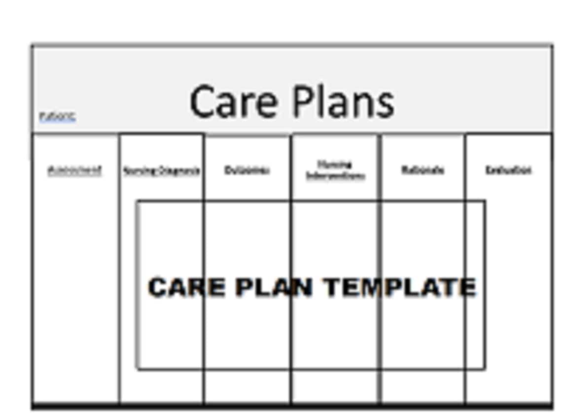 Nursing Care Plan Template and Instructions - Etsy
