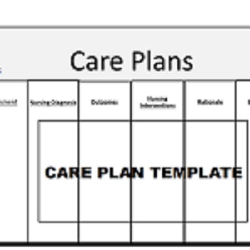 Plan of Care Template - Etsy