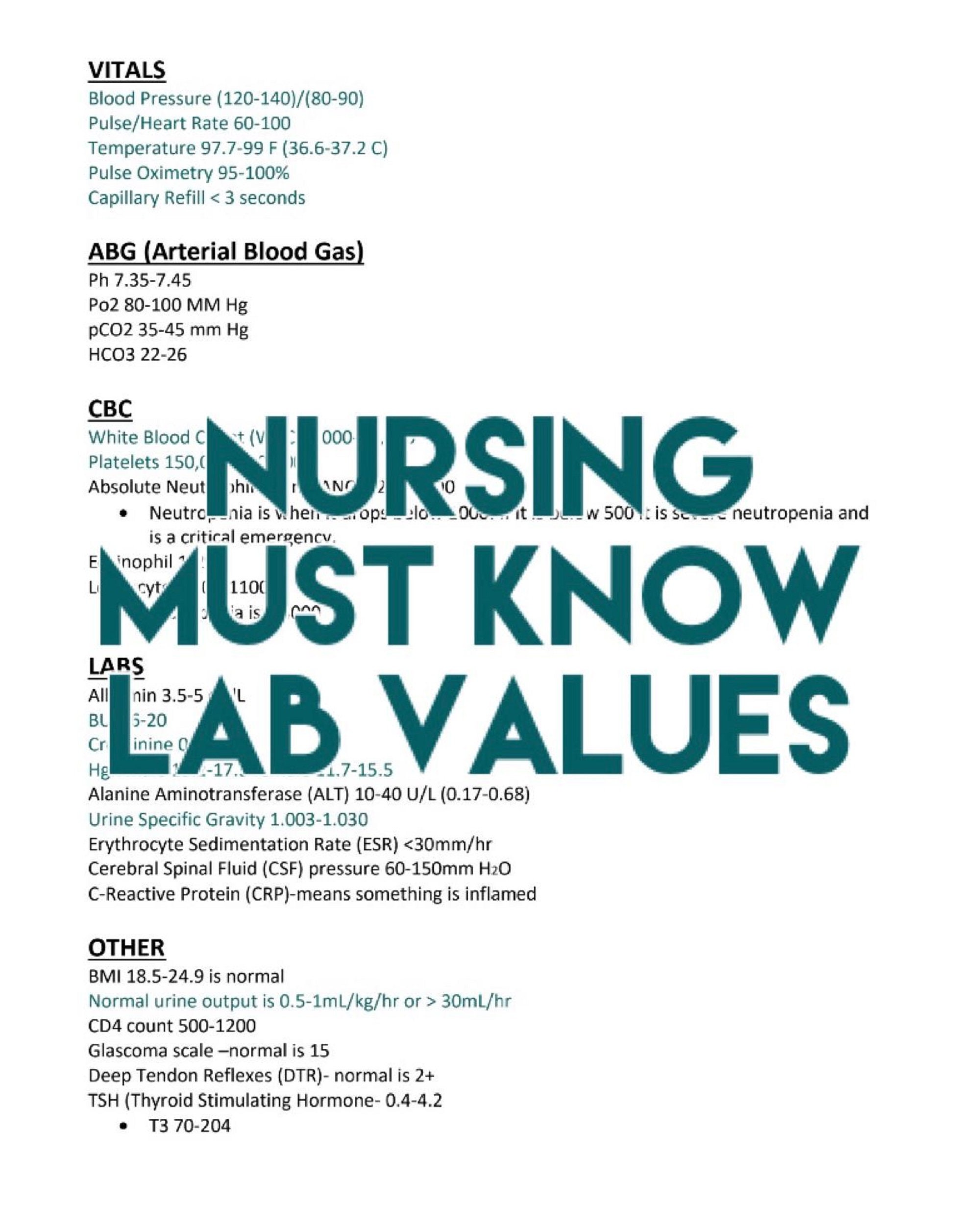 NCLEX-RN Review Summary Guide Notes - Etsy Canada