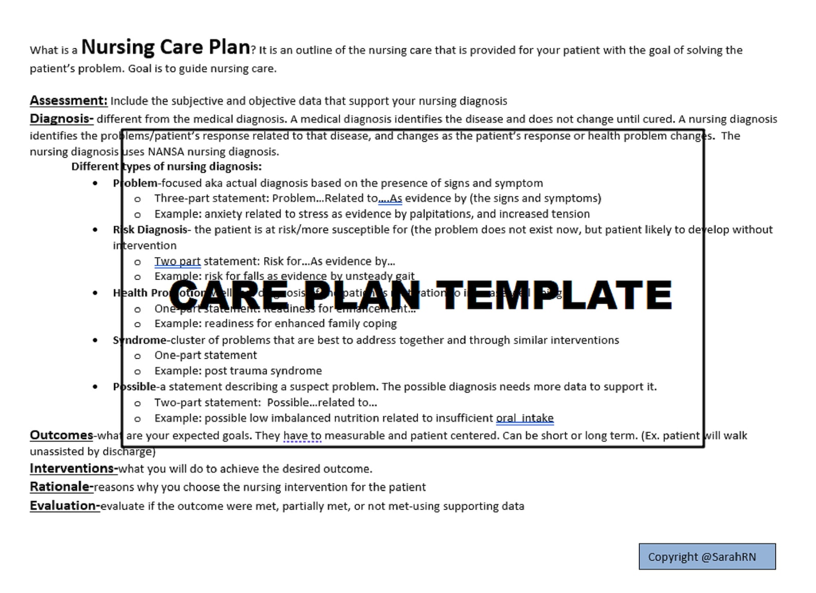 Nursing Care Plan Template and Instructions - Etsy