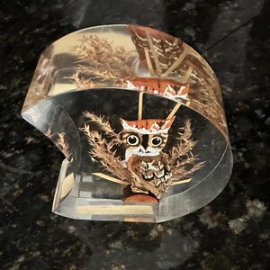 Crescent Moon-shaped Lucite Paperweight With Wood-carved Owl - Canada ...