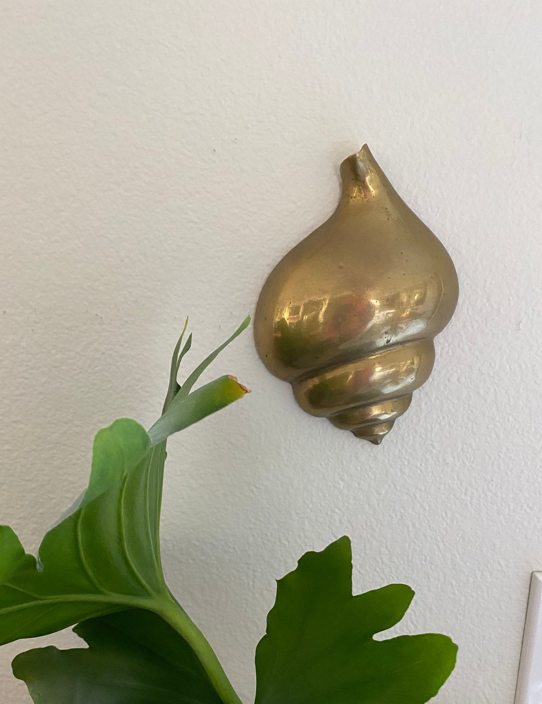 Mid Century Brass Conch Shell Wall Hanging - Etsy