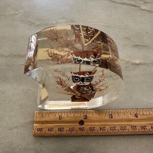 Crescent Moon-shaped Lucite Paperweight With Wood-carved Owl - Canada ...