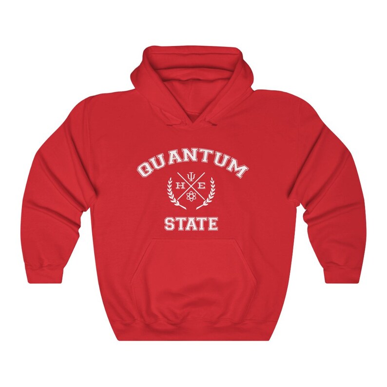 Quantum State SCIENCE HOODIE the Perfect Physics and Chemistry Gift for ...