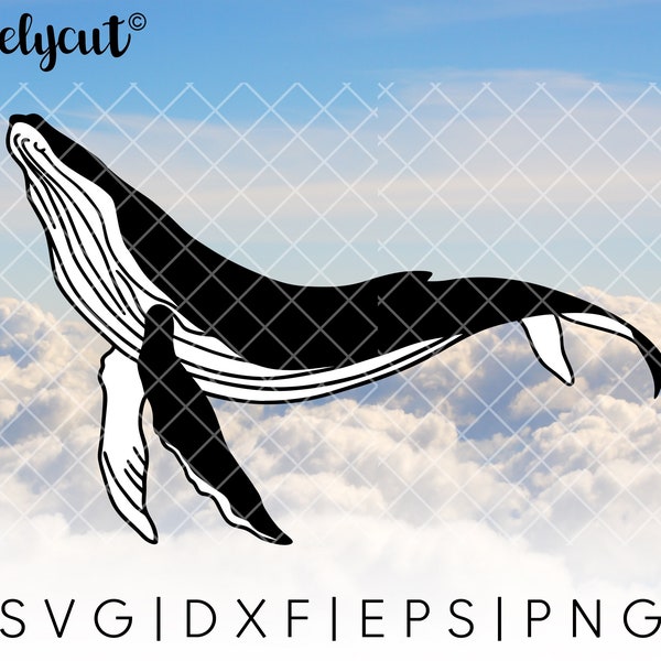 Humpback Whale Art - Etsy