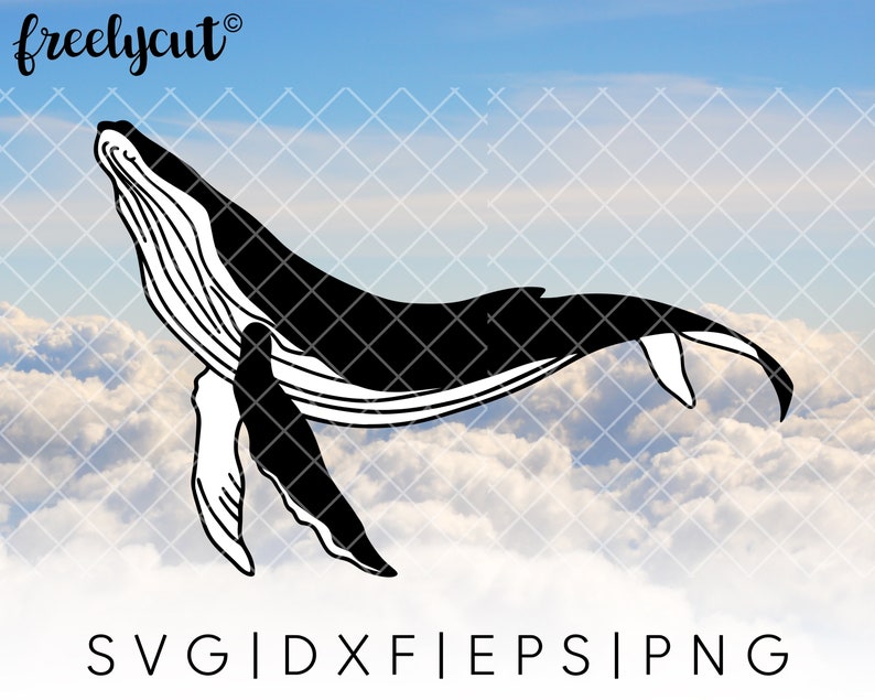 Whale SVG Cut File Template for Cricut Silhouette Cutting - Etsy
