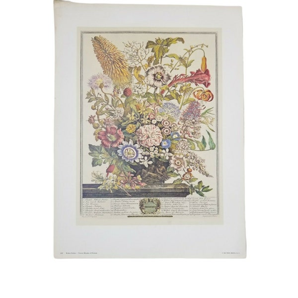 Robert Furber - Etsy