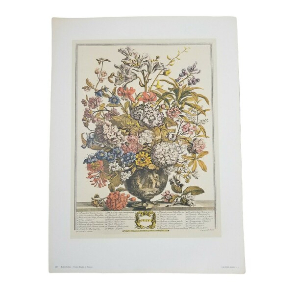 Robert Furber - Etsy