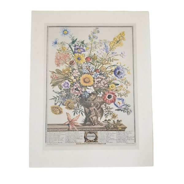 Robert Furber - Etsy