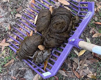Cow Pasture Manure Pie Patty Poop - Fresh Organic Garden Plant ...