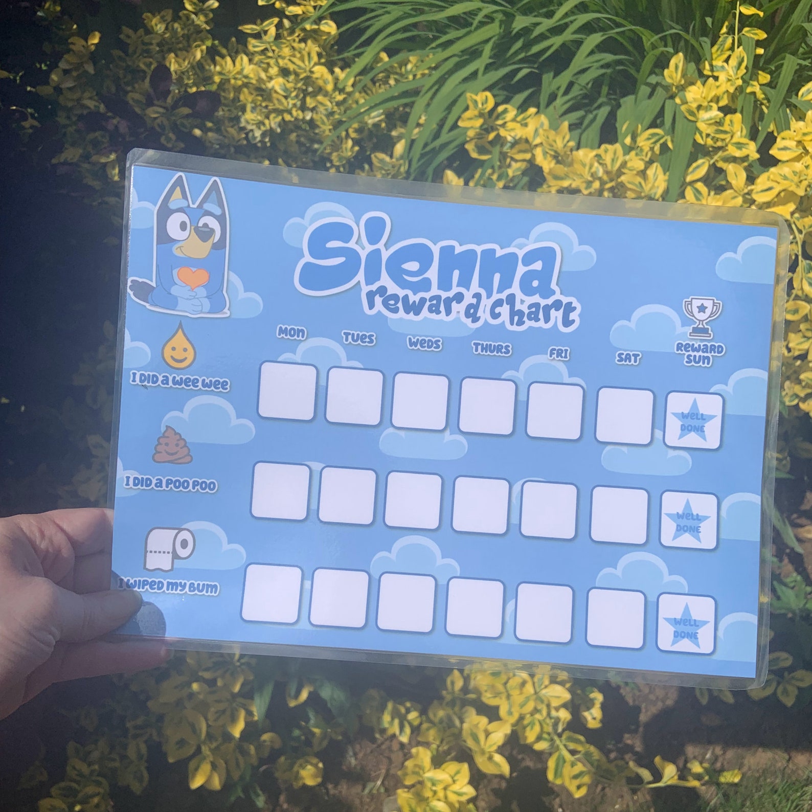 Personalised Laminated Bluey or Bingo Toilet Training Reward Chart ...