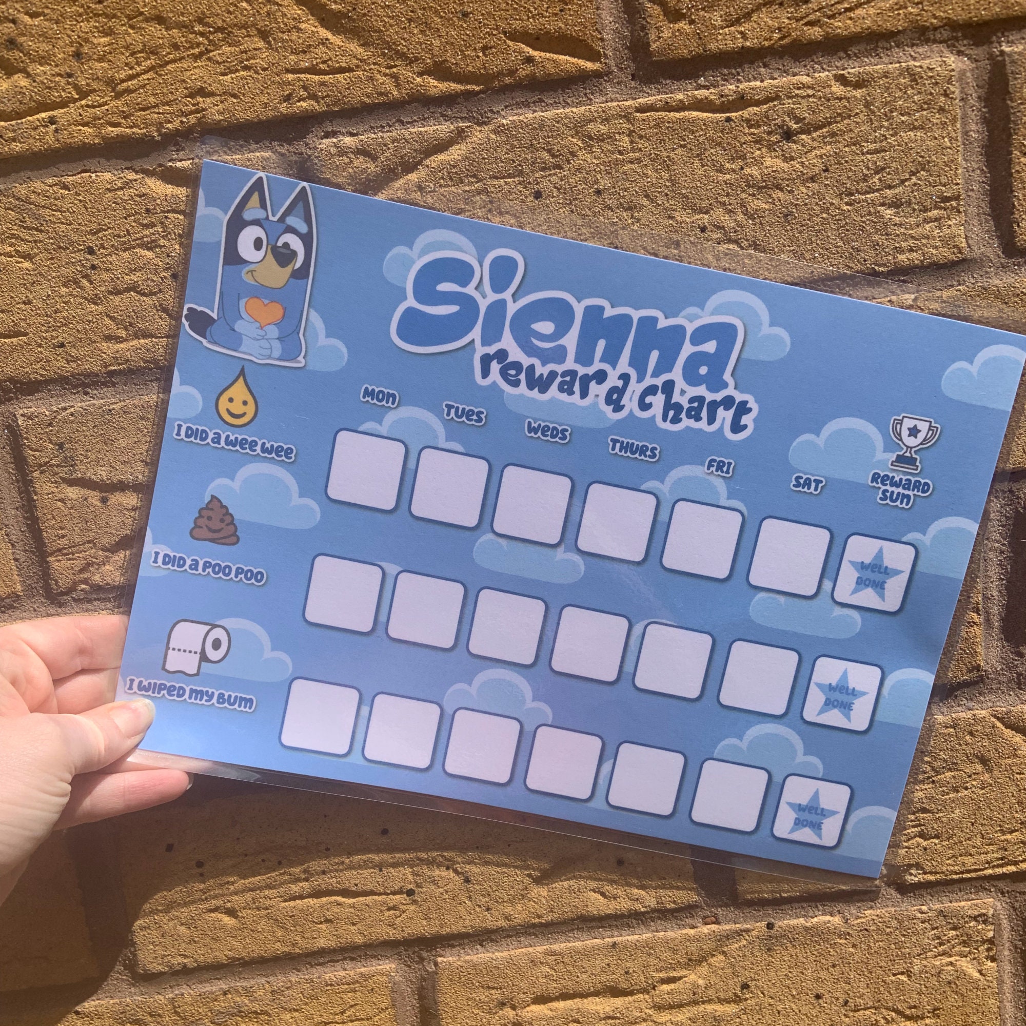 Personalised Laminated Bluey or Bingo Toilet Training Reward Chart ...