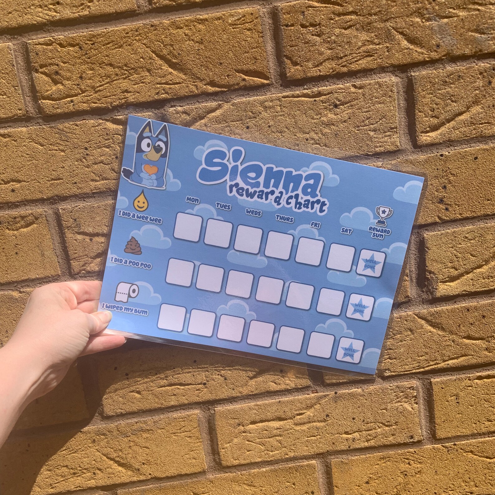 Personalised Laminated Bluey or Bingo Toilet Training Reward Chart ...