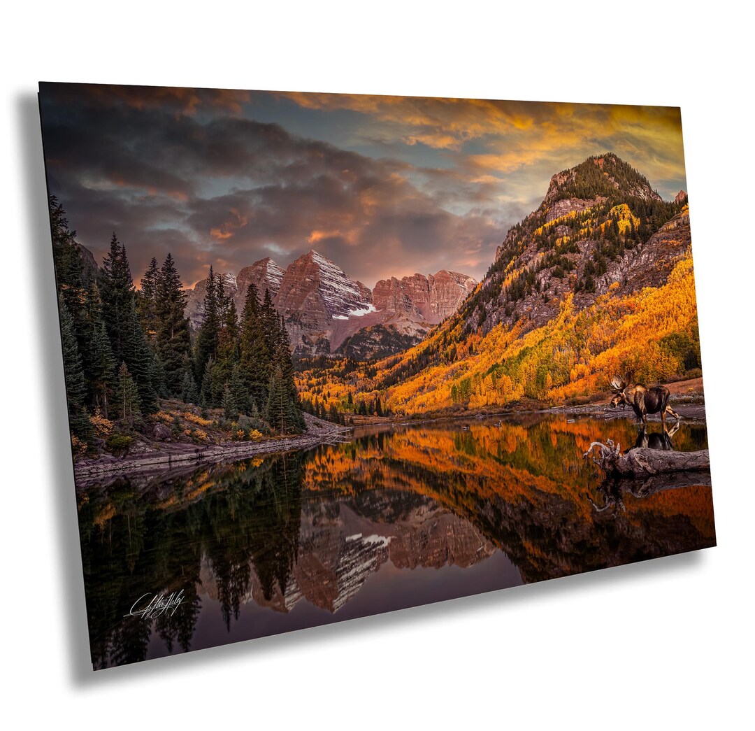 Maroon Bells Bull Moose Aspen Colorado CO, Maroon Bells Photo, Colorado ...