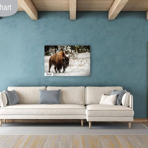 Bison/buffalo in Snow Print/canvas/acrylic/metal - Etsy