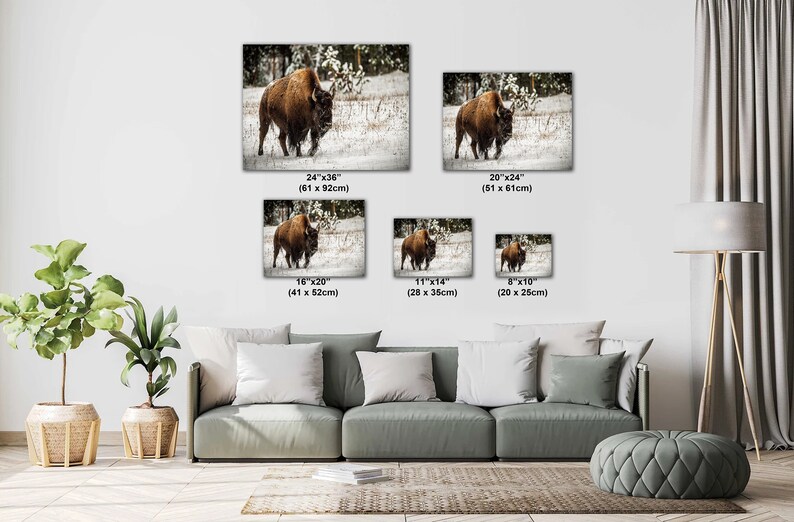 Bison/buffalo in Snow Print/canvas/acrylic/metal - Etsy