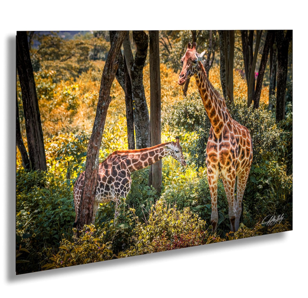 Giraffe Wall Art | Luxury Giraffe Print | Boho Wall Art | Giraffe Print ...