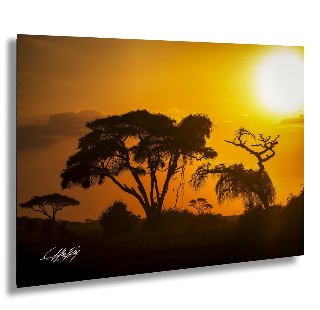 African Savannah Acacia Tree Sunset Sunrise Wall Art Print - Acacia ...