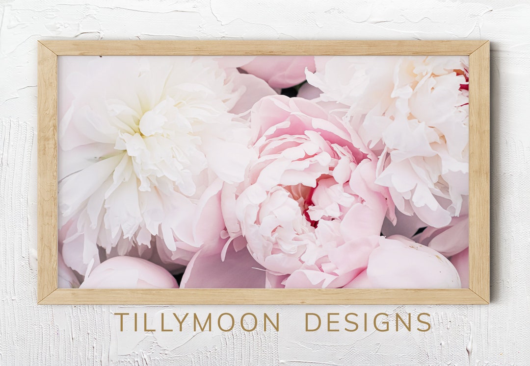 Samsung Frame TV Art Peony Flowers White and Pink for Valentine's Day ...