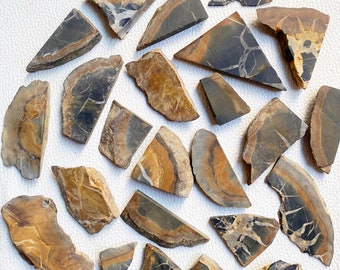 Raw Rough Septarian - Etsy