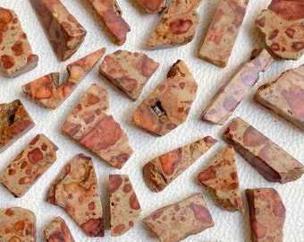 Asteroid Chips - Etsy