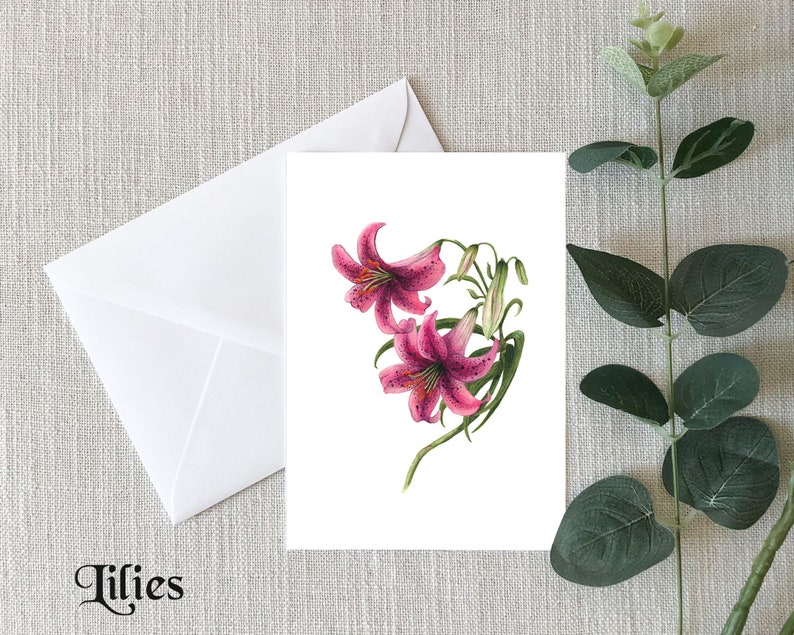 Floral Watercolour Artist Greeting Cards, Set of 4, 6 or Singles ...