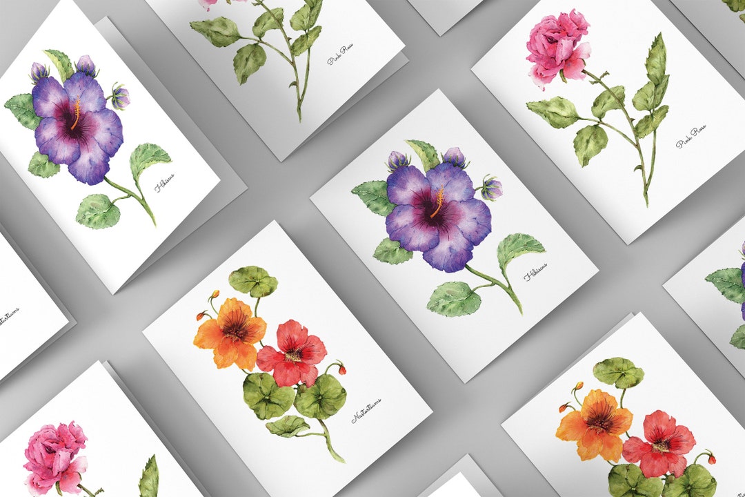 Floral Watercolour Artist Greeting Cards, Set of 6 or Singles, Country ...