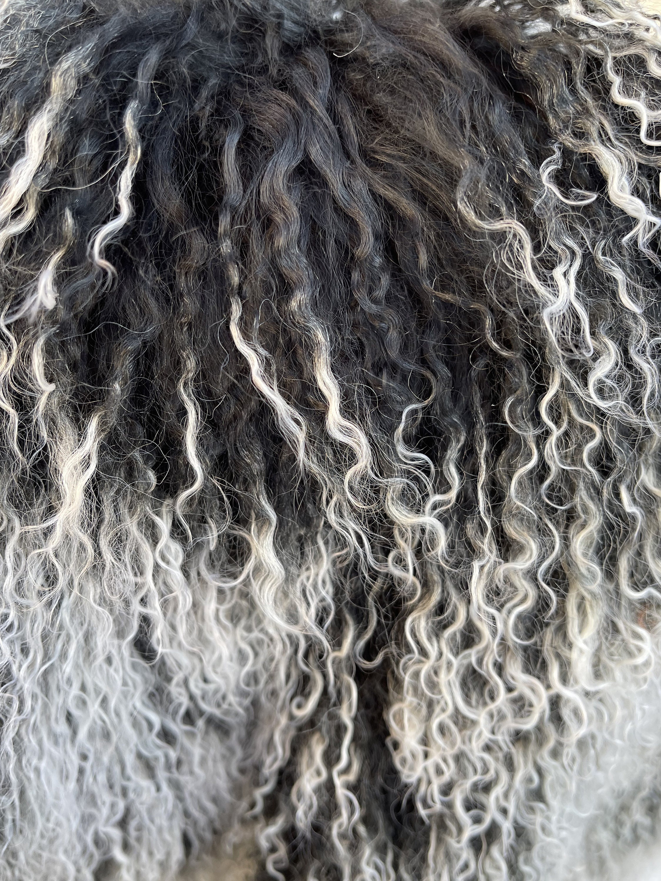 Black W White Tip Tibetan Curly Lamb Mongolian Soft Real Fur Doll Hair ...