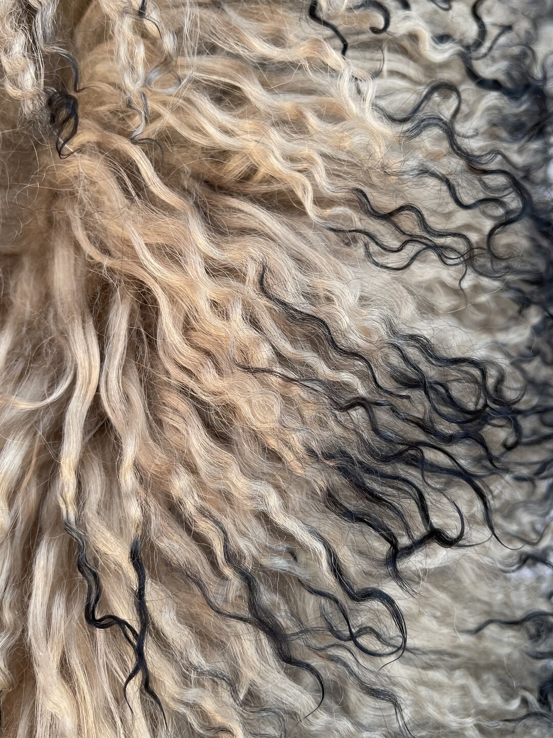 Beige With Black Tip Tibetan Curly Lamb Mongolian Soft Real Fur Doll ...