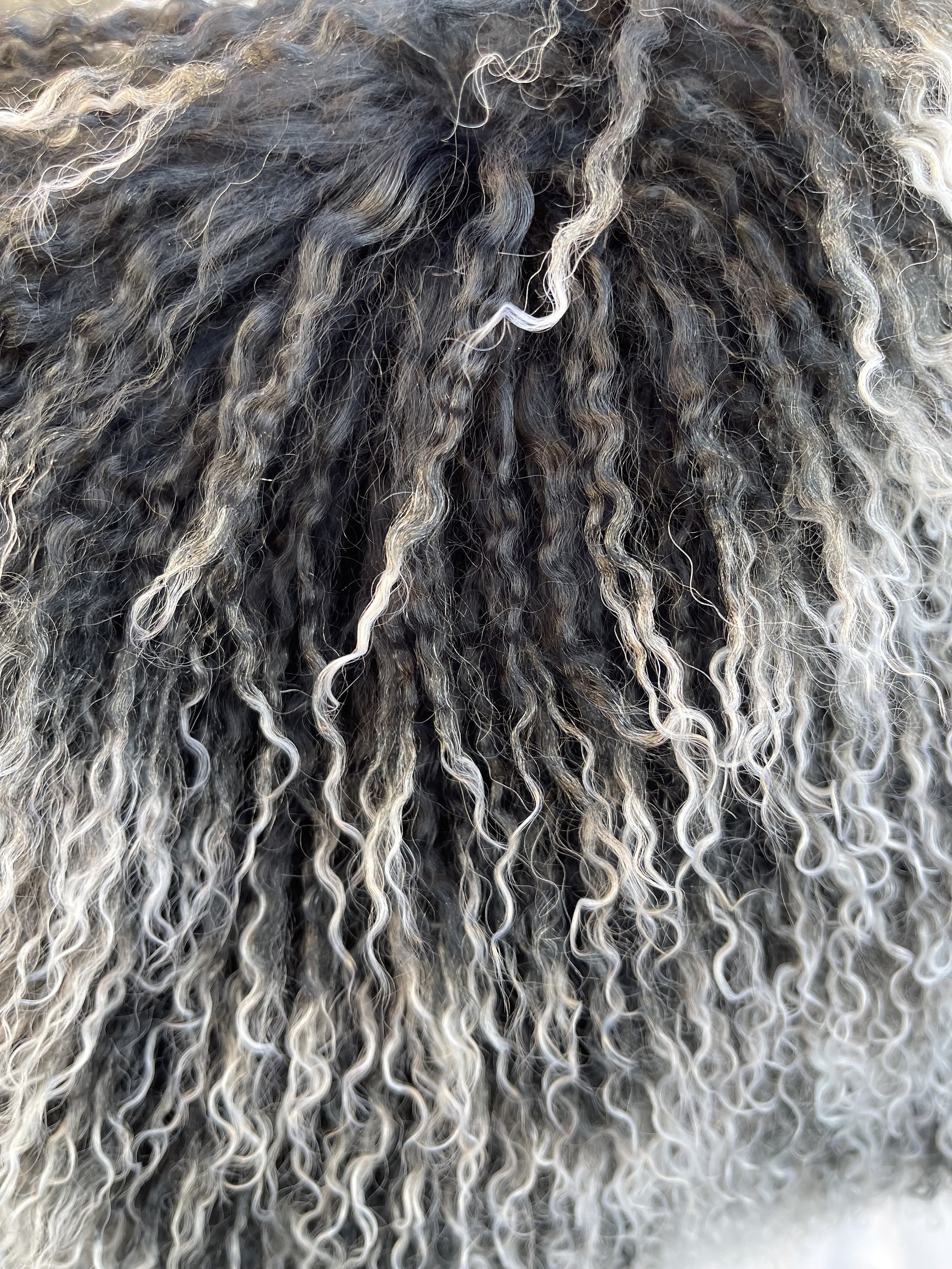 Black W White Tip Tibetan Curly Lamb Mongolian Soft Real Fur Doll Hair ...