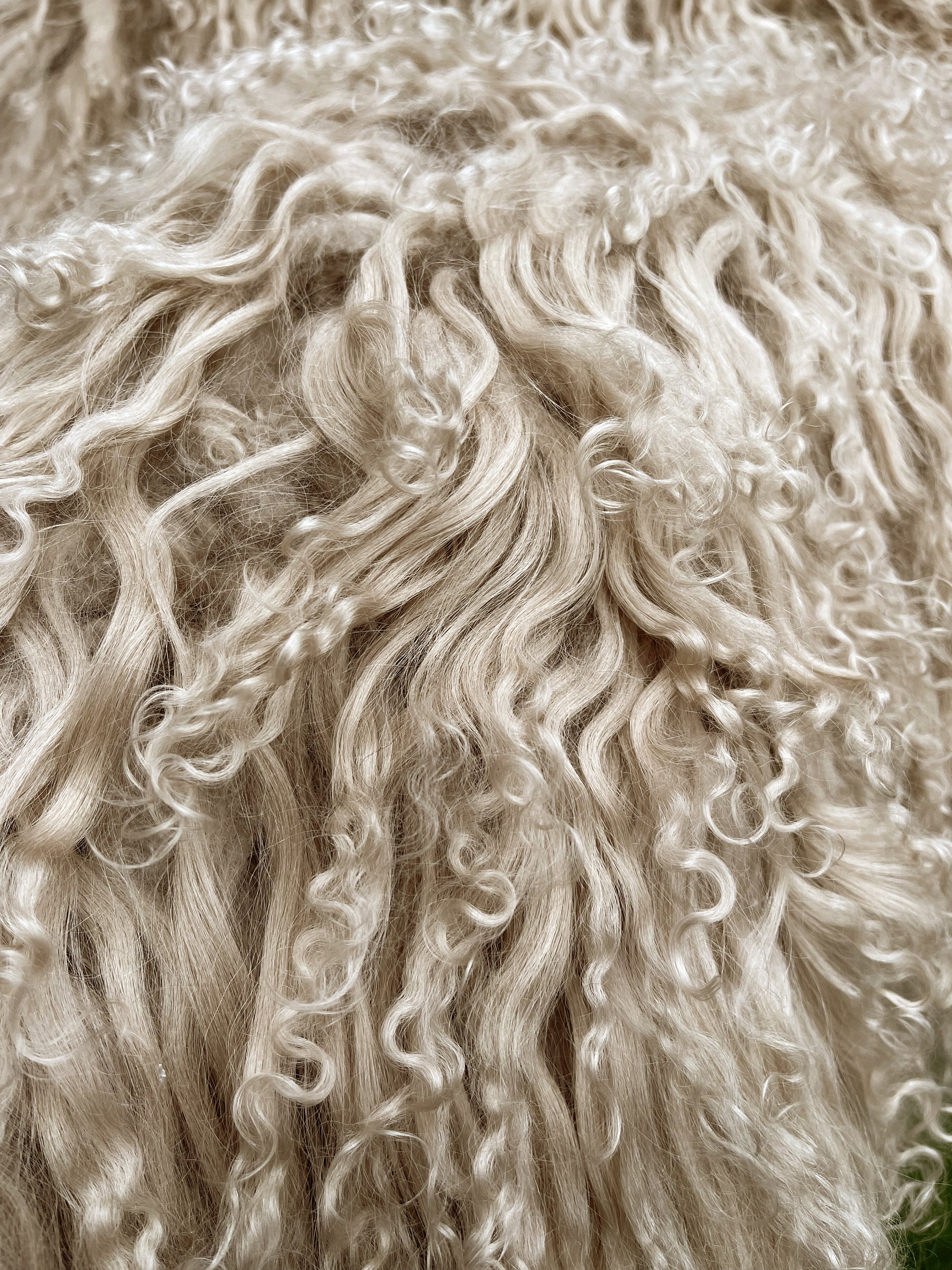 Oyster Tibetan Curly Lamb Mongolian Soft Real Fur Doll Hair Reroot Wigs ...