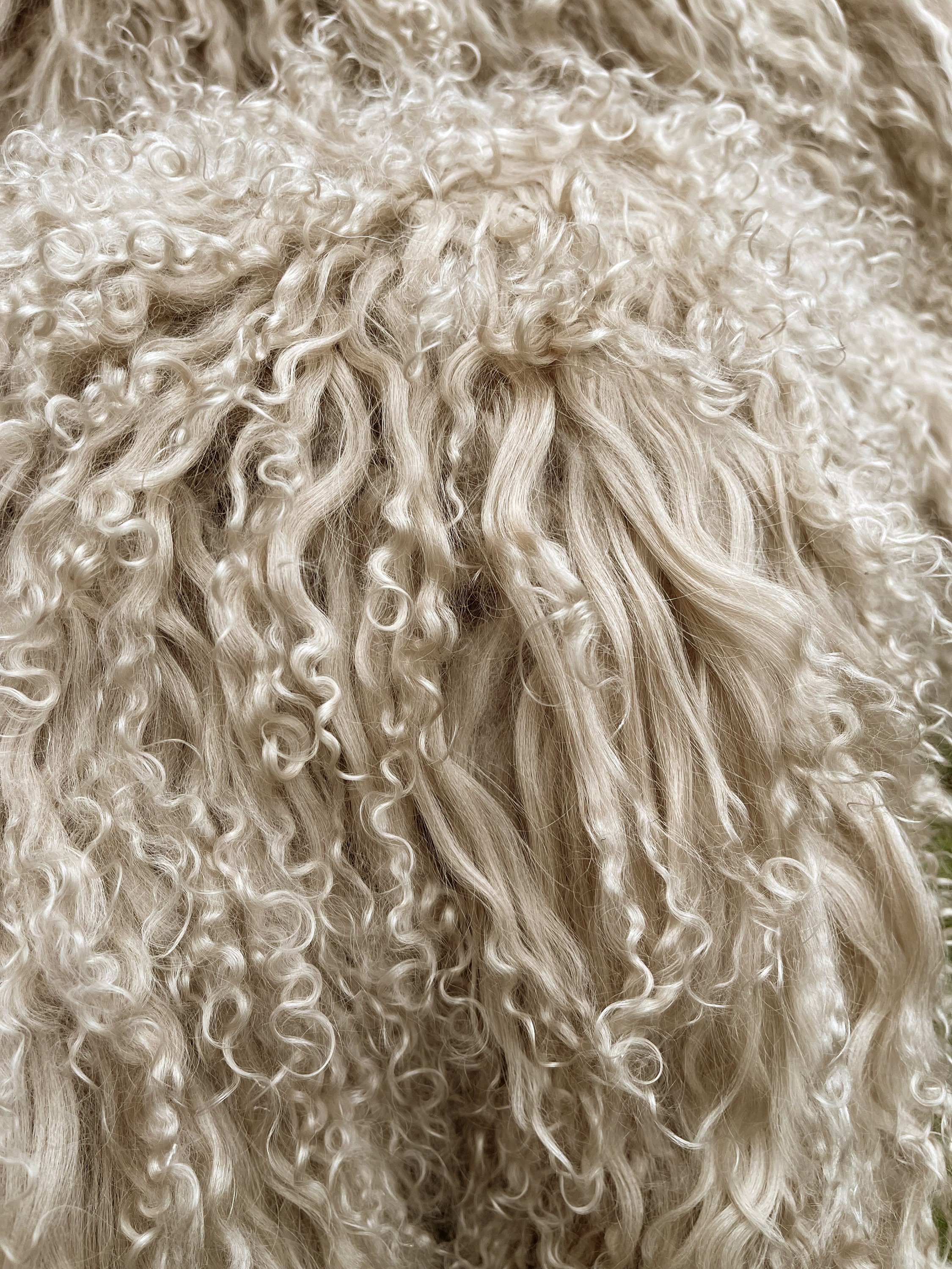 Oyster Tibetan Curly Lamb Mongolian Soft Real Fur Doll Hair Reroot Wigs ...