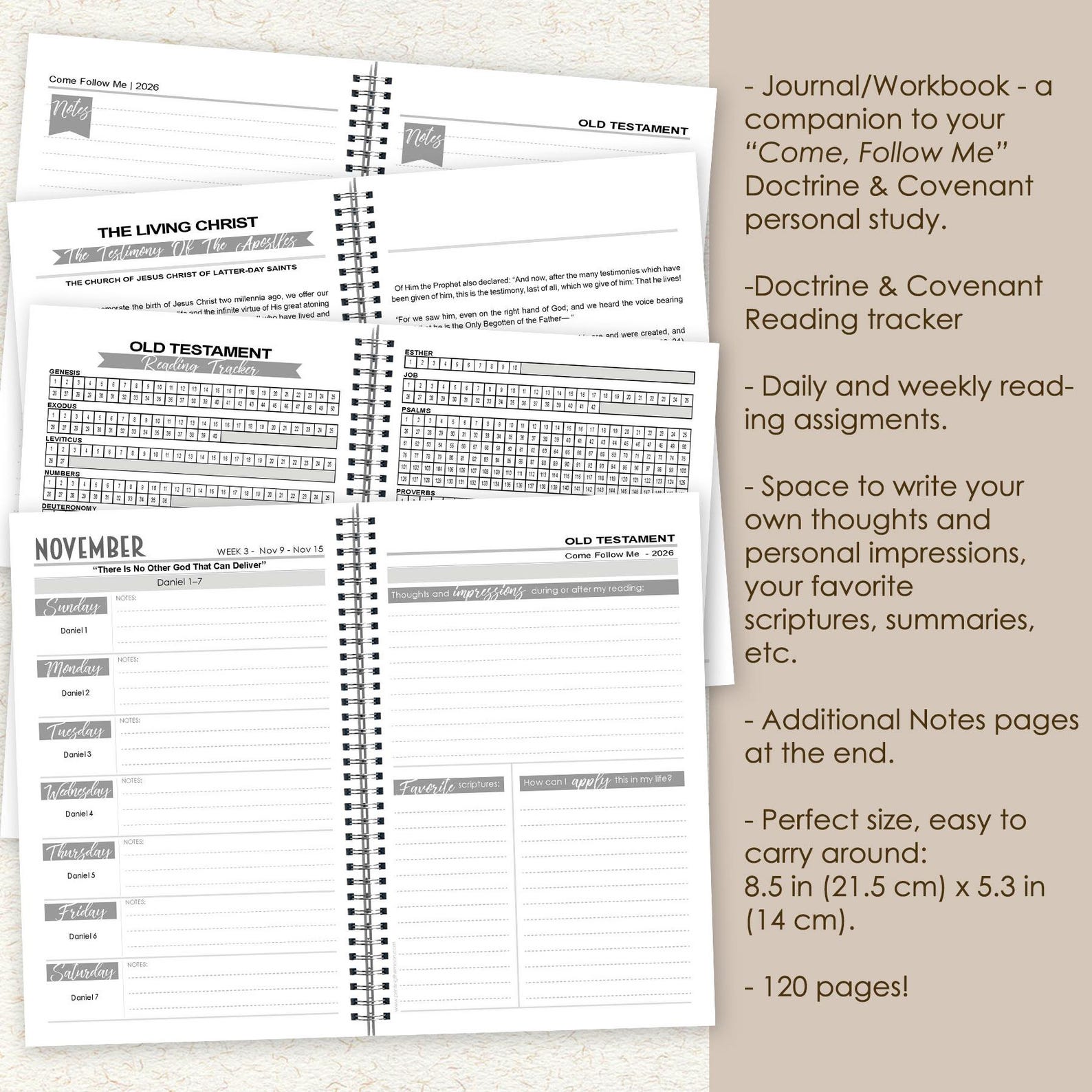 OLD TESTAMENT, Come Follow Me Study Guide 2026 Scripture Study Journal ...