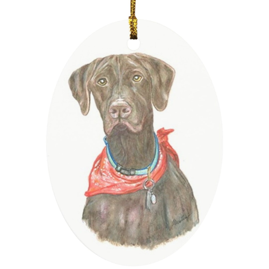 Chocolate Labrador Mix Oval Ornament - Etsy