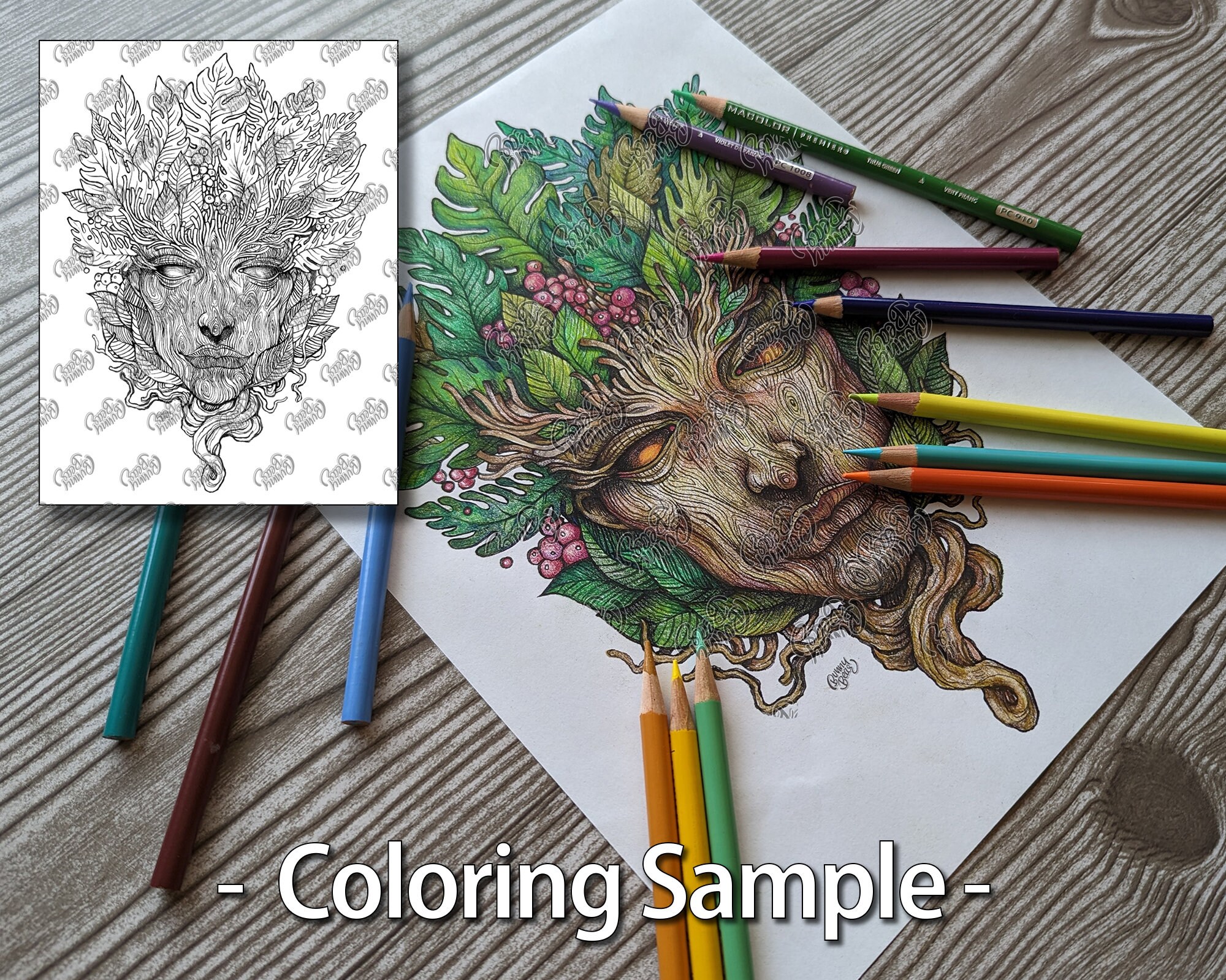 Wood Fairy Coloring Page for Adult Letter and A4 Size - Etsy
