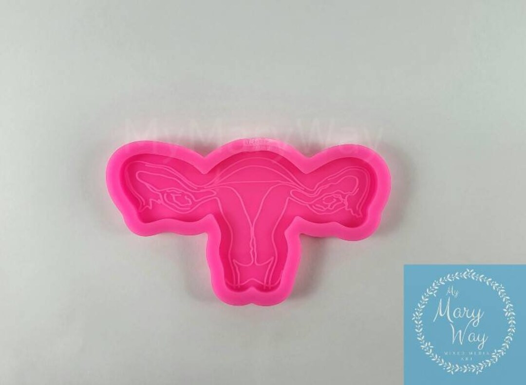 Female Reproductive System Mold - Etsy