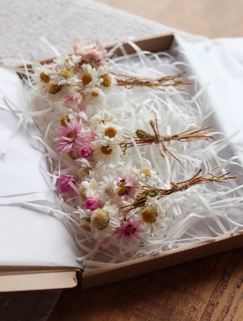 Mini Daisy Bouquet Tied With Rustic Twine, Dried Wildflower Posy ...
