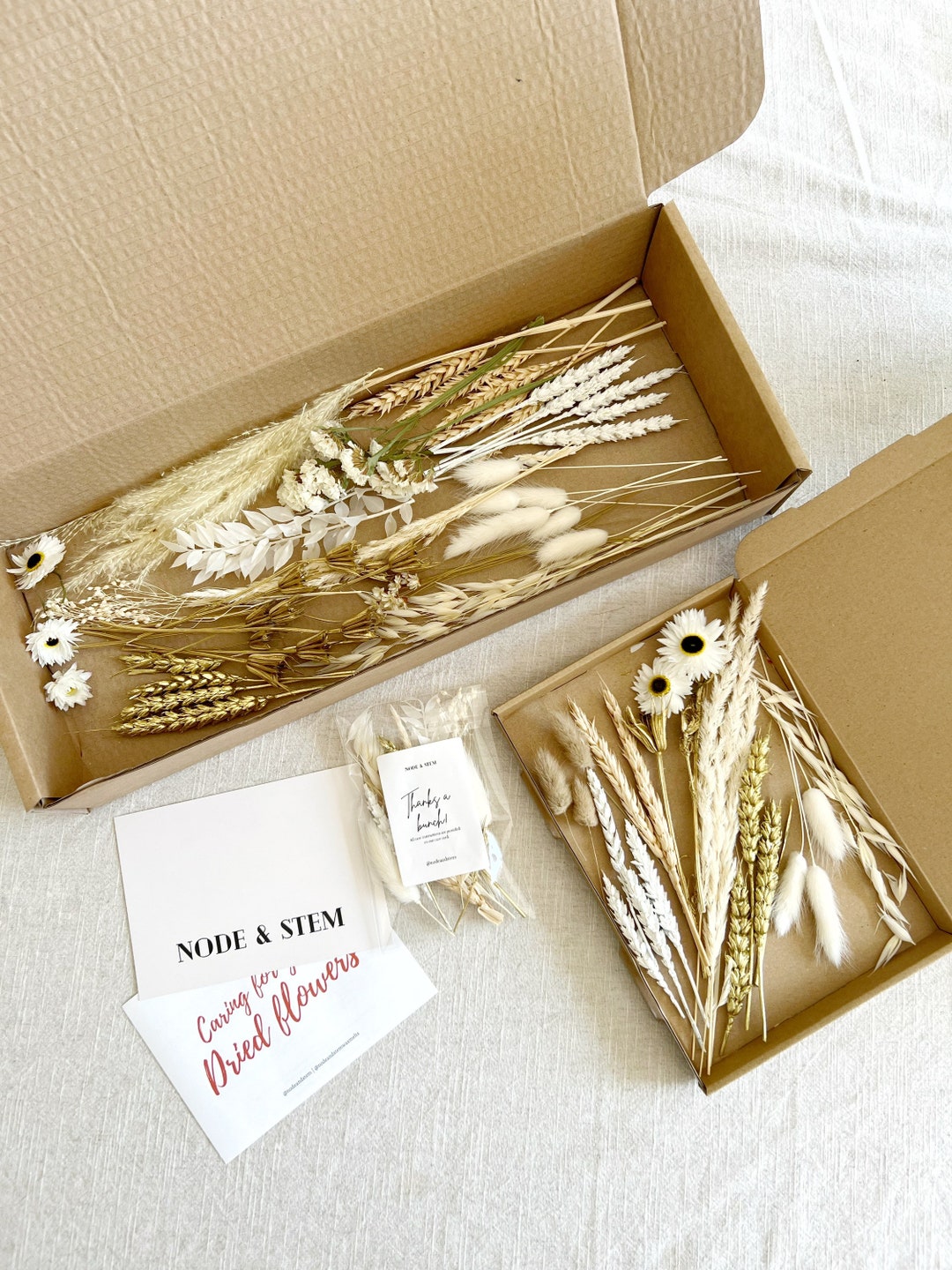 Dried Flower Craft Boxes 8 Colours, Arts & Crafts, Card Making, Cake ...