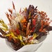 Nancy | Bright Autumn Dried Flower Bouquet | Colourful Dried Flowers ...
