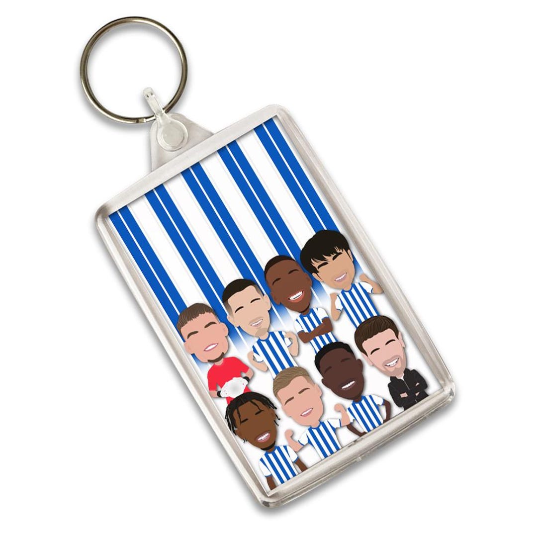 Brighton 2024-25 Vector Heroes Key Ring Keyring Key Chain Welbeck Dunk ...