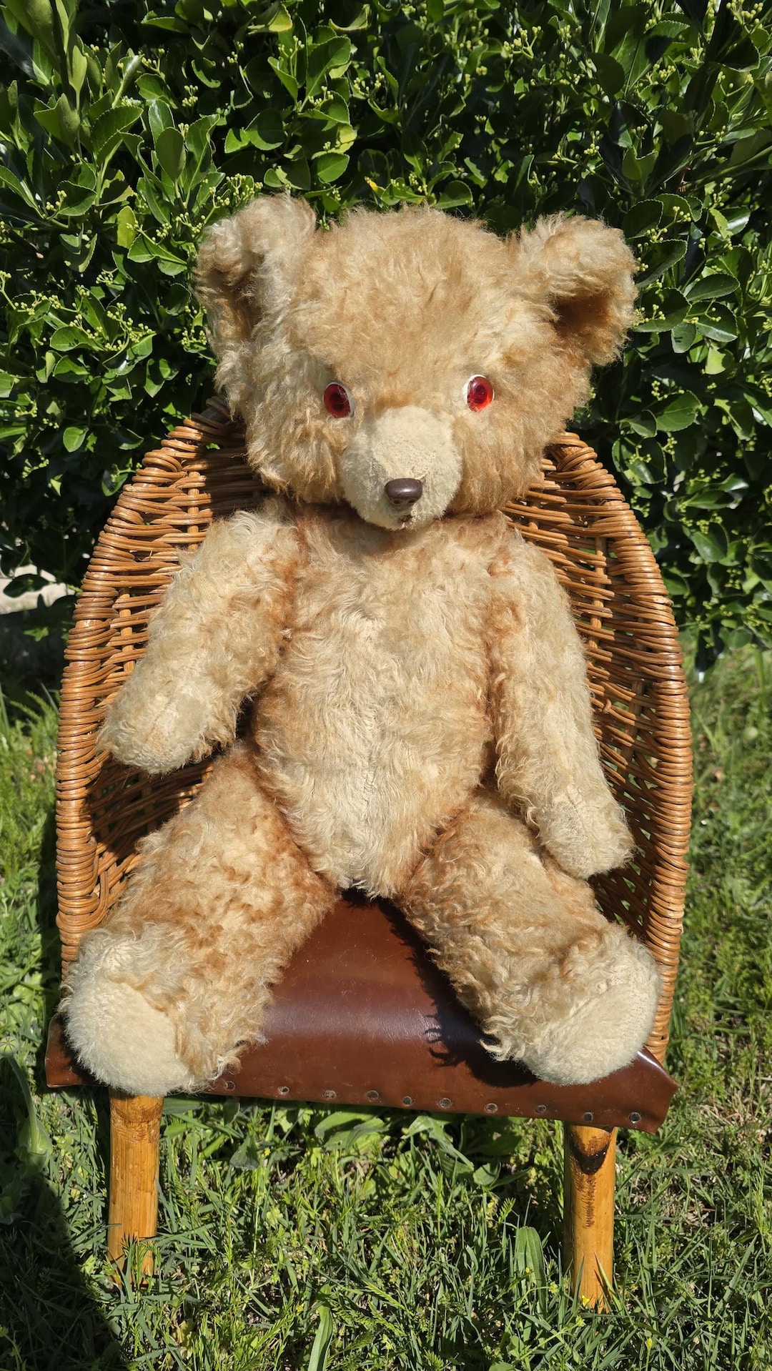 Vintage Collectible Rare German1950’s Mohair Teddy Bear "august"fully ...
