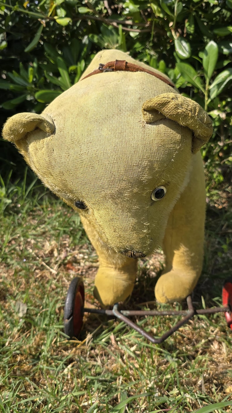 Amazing Antique Rare Large FRENCH FADAP 1930s Teddy Bear on Wheels 26in ...