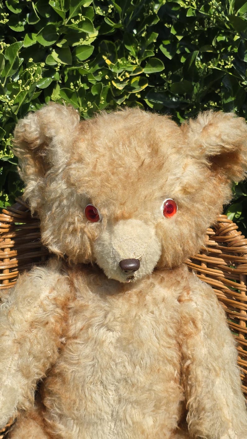 Vintage Collectible Rare German1950’s Mohair Teddy Bear "august"fully ...